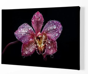 Obraz na plátně - Orchidej, kapky souznění FeelHappy.cz Velikost obrazu: 180 x 120 cm