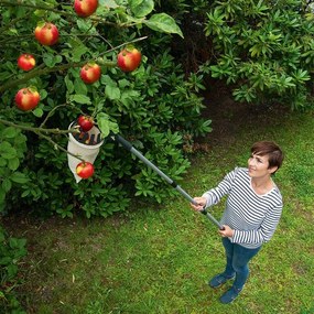 Česáček na ovoce s teleskopickou rukojetí