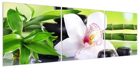 Obraz orchideje (150x50 cm)