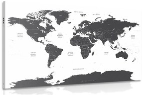 Obraz mapa světa s jednotlivými státy v šedé barvě Varianta: 90x60