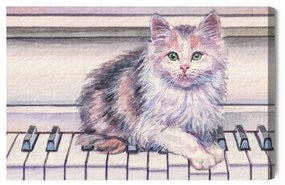 Obraz Kočka Na Klavír Nedostatek Nedostatek Přírodní plátno 100x70