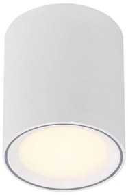 Stmívatelné LED světlo NORDLUX Fallon - bílá, 100 mm, 120 mm