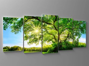 Liox Obraz strom přání Rozměr: 200 x 90 cm
