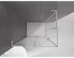 Mexen Velar L Duo, sprchový kout s posuvnými dveřmi 100 x 90 cm, 8mm čiré sklo, broušená ocel, 871-100-090-02-03-97