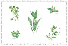 Easy Life Melaminový tác Herbarium - 31x23cm
