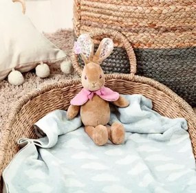 Rainbow Plyšový králíček Flopsy Bunny s dlouhýma ušima / 0+
