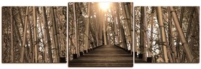 Obraz na plátně - Dřevěná promenáda v bambusovém lese - panoráma 5172FD (120x40 cm)