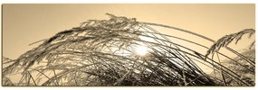 Obraz na plátně - Zimní ráno - panoráma 545FA (120x45 cm)