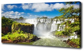 Wallmuralia Foto obraz na plátně Vodopád Argentína 100x50