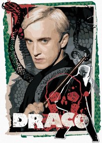 Malování podle čísel karta draco malfoy (harry potter), 40x50 cm, bez rámu a bez vypnutí plátna