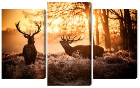 Vícedílný obraz Dva Jeleni V Lese Při Západu Slunce 3D Nedostatek Nedostatek Přírodní plátno 120x80