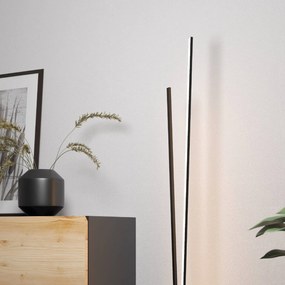 Stojací lampa Panagria LED, černá s dřevěnými detaily