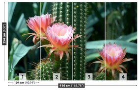 Fototapeta Kaktusový květ 104x70