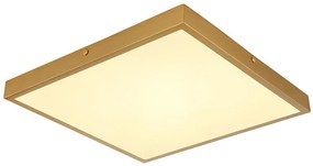Stropní svítidlo Tibey 12382-22 LED PL1