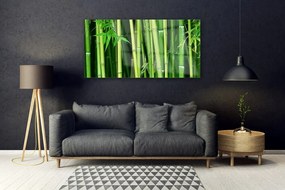 Plexisklo-obraz Bambusový Les Bambus Příroda 120x60 cm