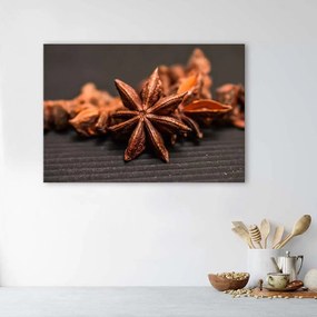 Gario Obraz na plátně Skořice a anýz Rozměry: 60 x 40 cm