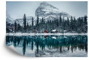 Fototapeta Lake O&amp;#039;hara V Kanadě Hladký vinyl 135x90