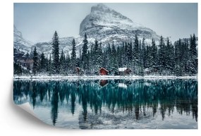 Fototapeta Lake O&amp;#039;hara V Kanadě Omyvatelný vlies 180x120