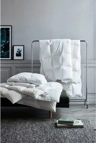 Celoroční přikrývka s péřovou výplní 200x220 cm Snow Queen – Ringsted Dun