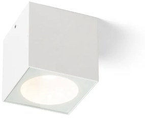 RENDL R13624 SENZA LED venkovní světlo, stropní IP65 bílá čiré sklo