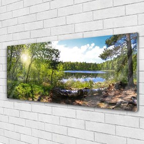 Plexisklo-obraz Les Stromy Jezero Příroda 125x50 cm