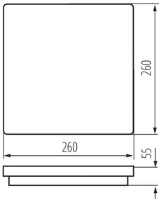 Sapho, BENO stropní LED svítilna 260x55x260mm, 24W, bílá, 33342