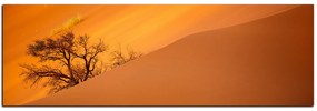 Obraz na plátně - Červené písečné duny - panoráma 5133A (120x45 cm)