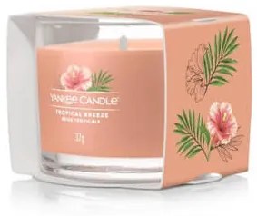 Yankee Candle Votivní svíčka ve skle Tropical Breeze, 37g