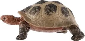 ZOOTED Figurka Želva obrovská / Plast / 8 cm / od 3 let
