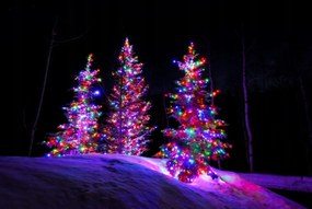 Vánoční osvětlení venkovní/vnitřní 1000 LED vícebarevné - 220V/31V - 103m
