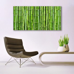 akrylový obraz Bambus Květ Rostlina 120x60 cm