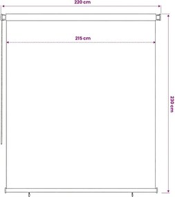 Venkovní roleta 225 (Š) x 230 (V) cm modrá HDPE 312856