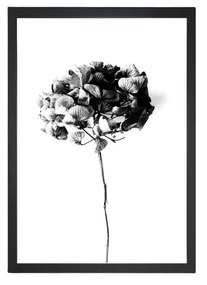 Plakát 24x29 cm Velvet Flower – Tablo Center