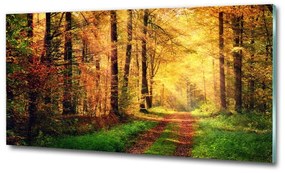 Wallmuralia Fotoobraz na skle Podzimní les 100x50
