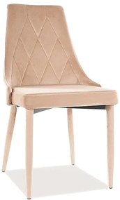 Casarredo - Komfort nábytek Designová jídelní židle REX velvet béžová/kov
