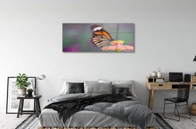 akrylový obraz Barevný motýl květina 120x60 cm