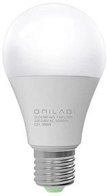 Brilagi | LED Žárovka ECOLINE A65 E27/15W/230V 3000K - Brilagi | BG0210