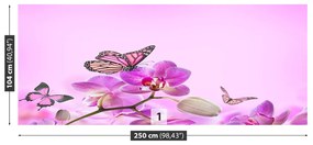 Fototapeta Orchid Motýl 104x70