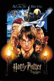 Plakát, Obraz - Harry Potter - Philosopher Stone, (80 x 120 cm)
