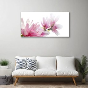 Obraz na skle Magnolie Květ 100x50 cm