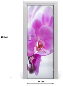 Fototapeta na dveře Růžová orchidej 75x205 cm