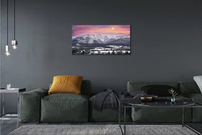 Obrazy na plátně horské zimní 100x50 cm