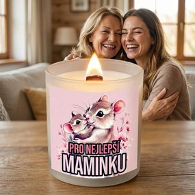 Ahome CZ Krásná svíčka Pro maminku myšky