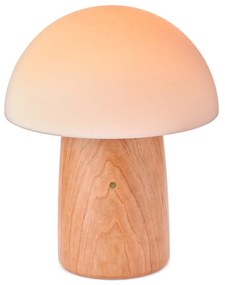 Stmívatelná stolní lampa v přírodní barvě se skleněným stínidlem (výška 32 cm) Alice – Gingko