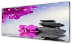 akrylový obraz Květiny Kameny Rostlina 125x50 cm