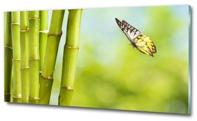 Wallmuralia Foto obraz sklo tvrzené Bambus a motýl 100x50