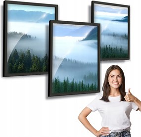 Sada 3 obrazů Les, Mlha s černým rámečkem na zeď 40x50 na plexi triptych