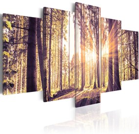 Atypický obraz lesní svět + háčky a hřebíčky ZDARMA Velikost (šířka x výška): 200x100 cm