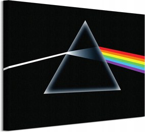 Pink Floyd Dark Side Of The Moon obraz 40x50 cm