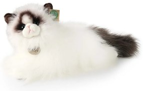 Rappa Plyšová kočka ragdoll ležící 35 cm ECO-FRIENDLY